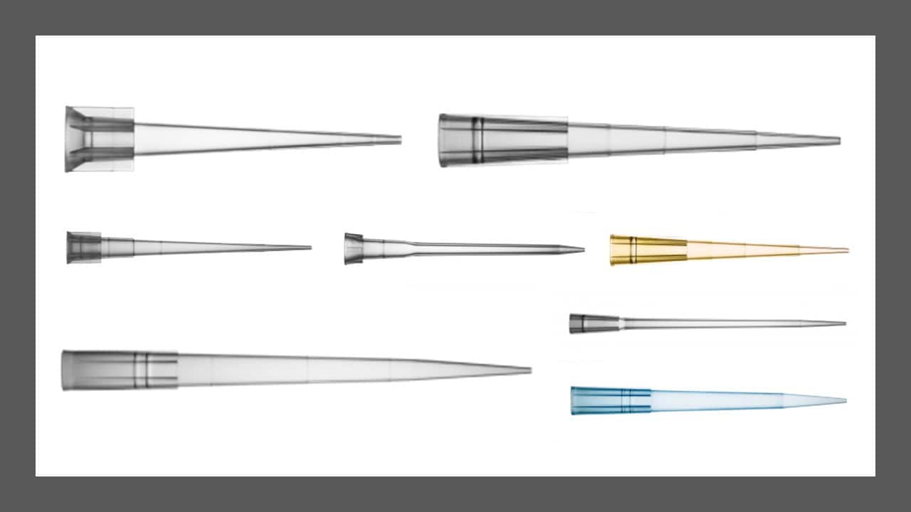 Neptune Filter Tips – Pipettor Barrier Tips BT10, BT10XL, BT20, BT100 ...